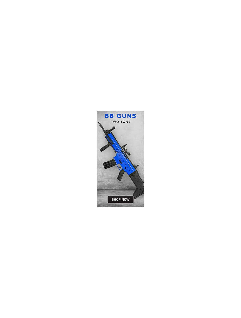BB Guns Banner